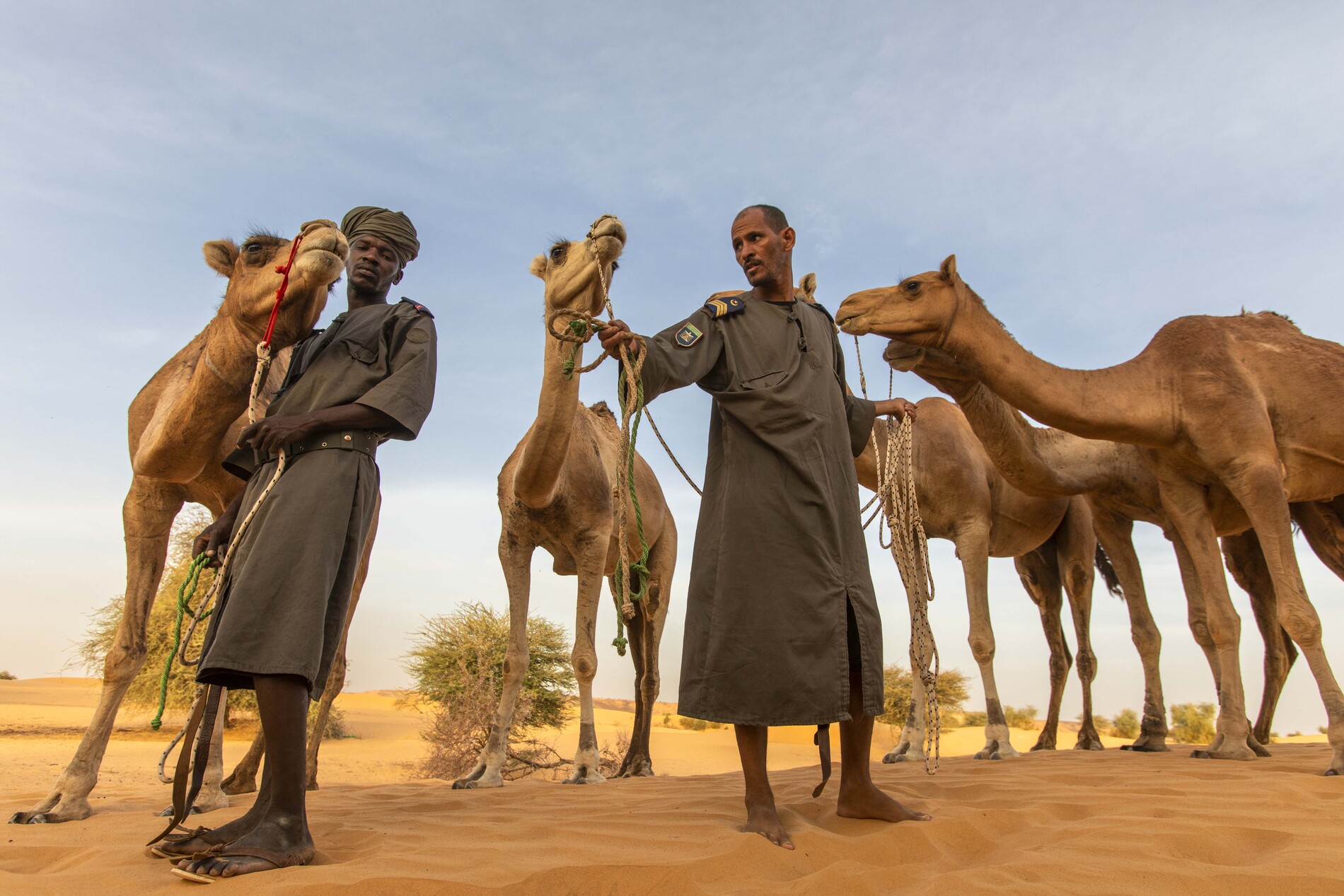 photo reporter sujets environnement, animalier, géographie