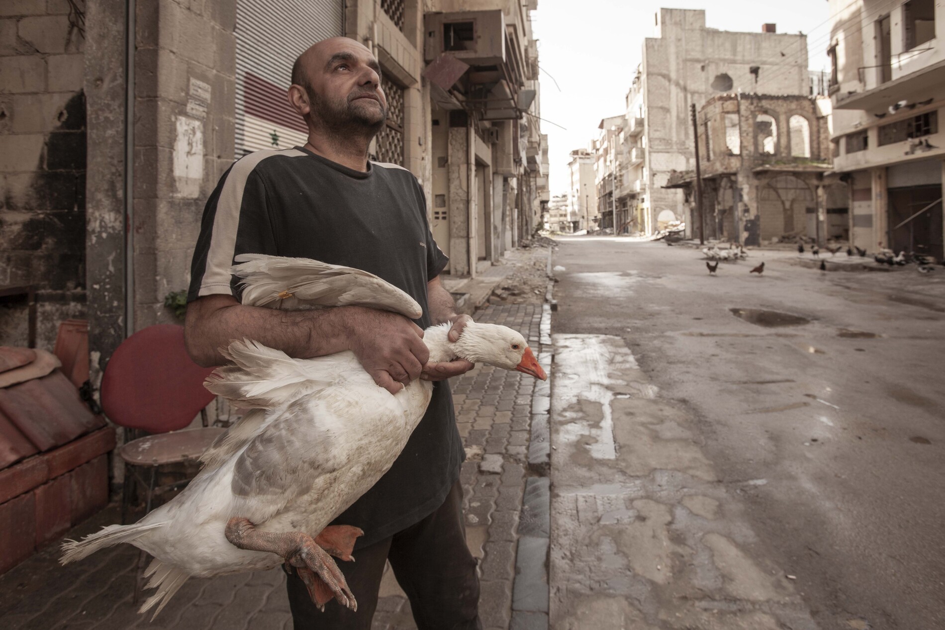 photo reporter sujets environnement, animalier, géographie